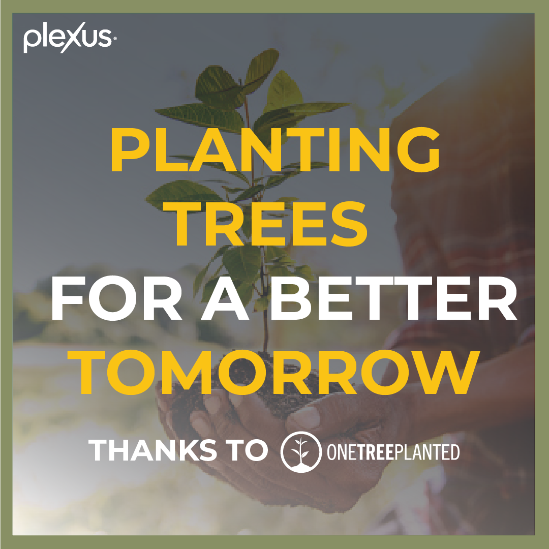 One Tree Planted | Reforestation Across Canada | Plexus Worldwide®