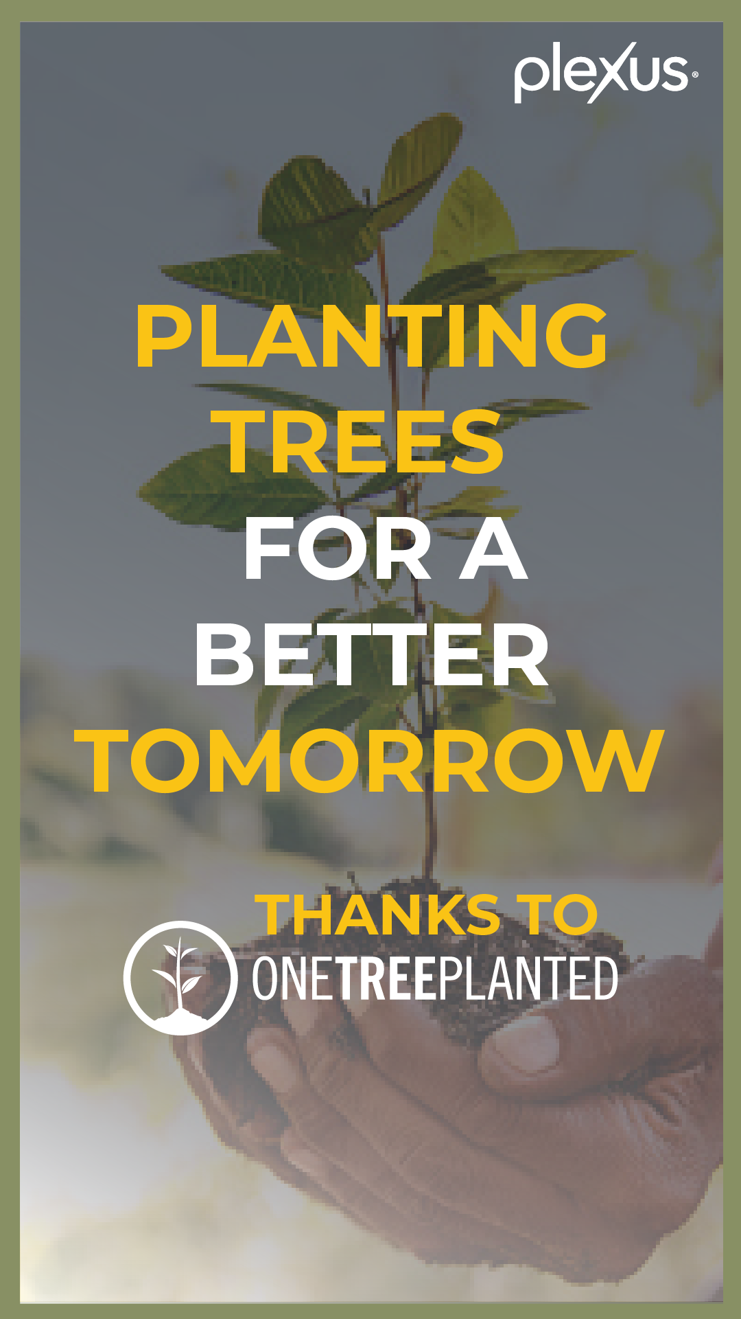 One Tree Planted | Reforestation Across Canada | Plexus Worldwide®