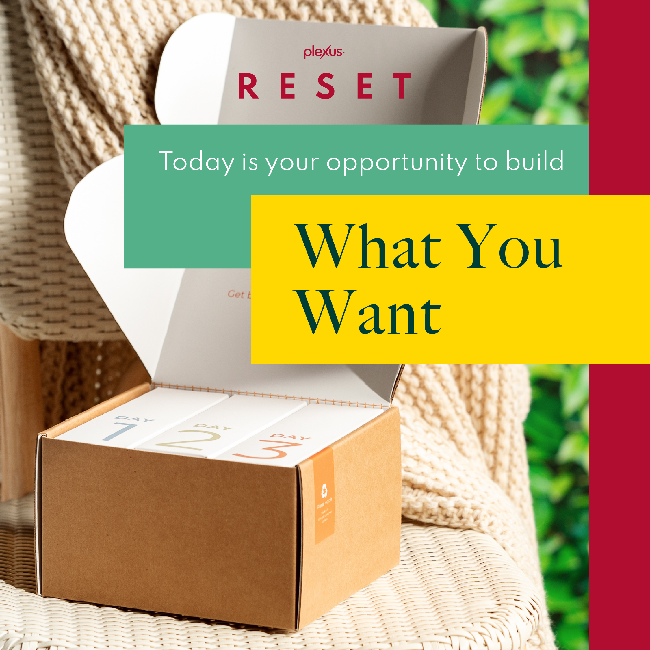 Reset Toolkit | Share Plexus Products | Plexus Worldwide®