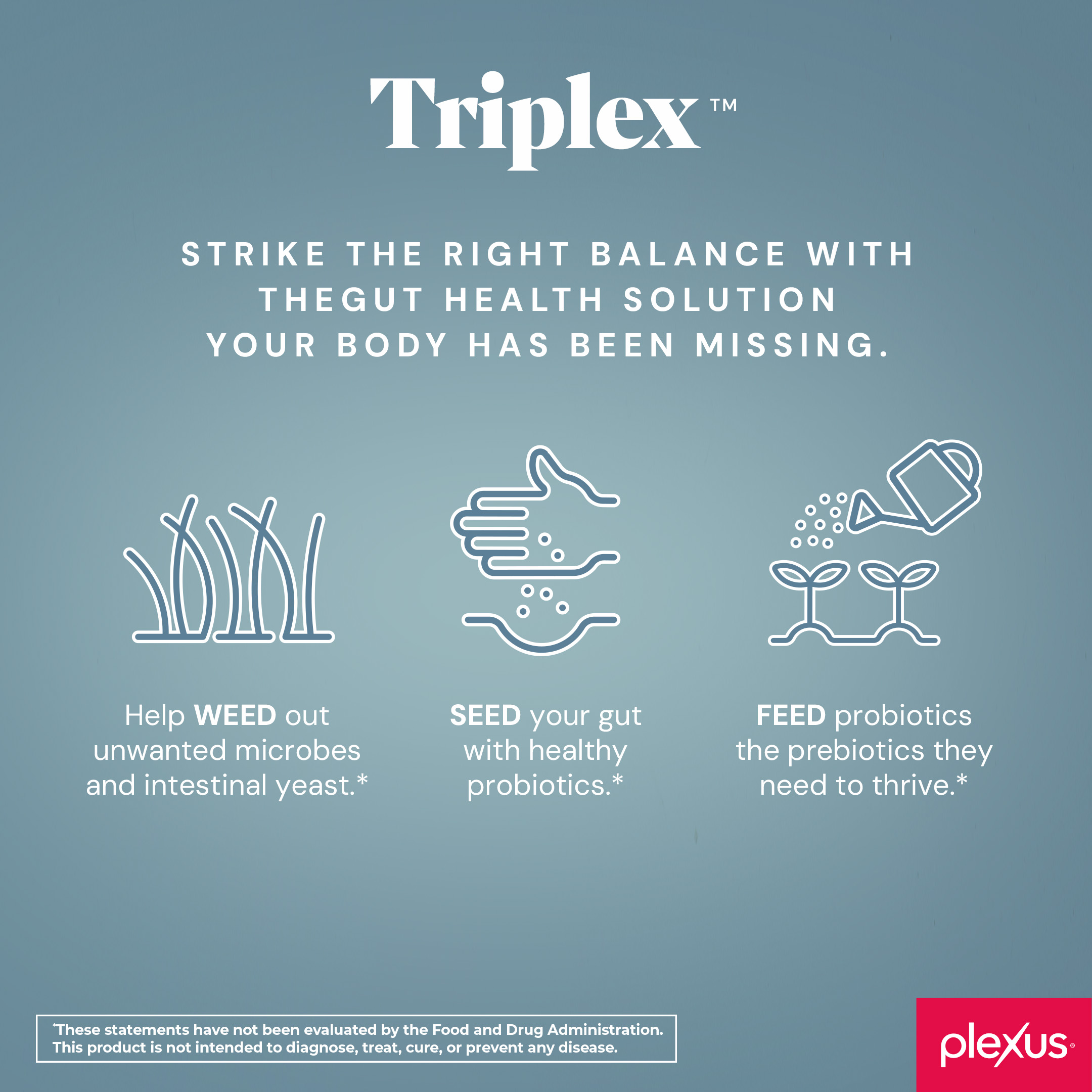 Gut Health Toolkit | Sharing Plexus | Plexus Worldwide