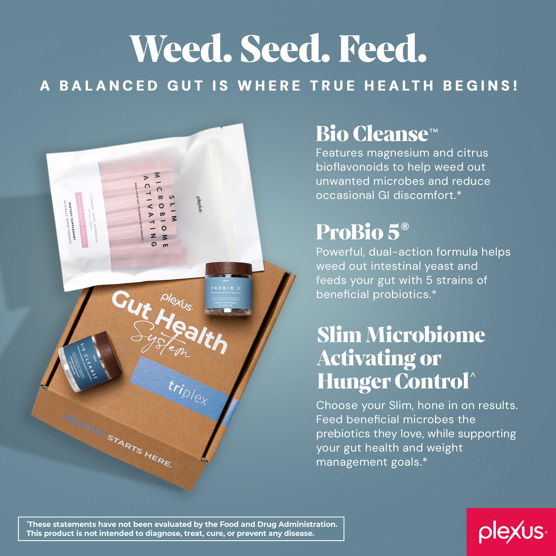 Gut Health Toolkit | Sharing Plexus | Plexus Worldwide